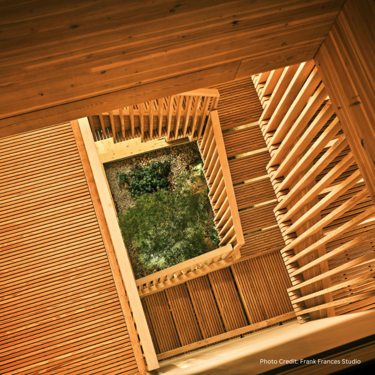 Mass Timber Essentials: Materials, Design, and Optimization - AIANYS